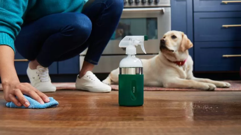 Pet-Safe Cleaning: Keeping Your Home Fresh Without Harming Your Furry ...